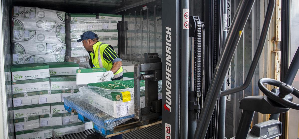 AKL-SIN LCL Reefer Service | GVI Logistics